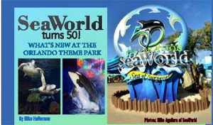SeaWorld Turns 50: What’s New at the Orlando Theme Park | Hotspots Magazine