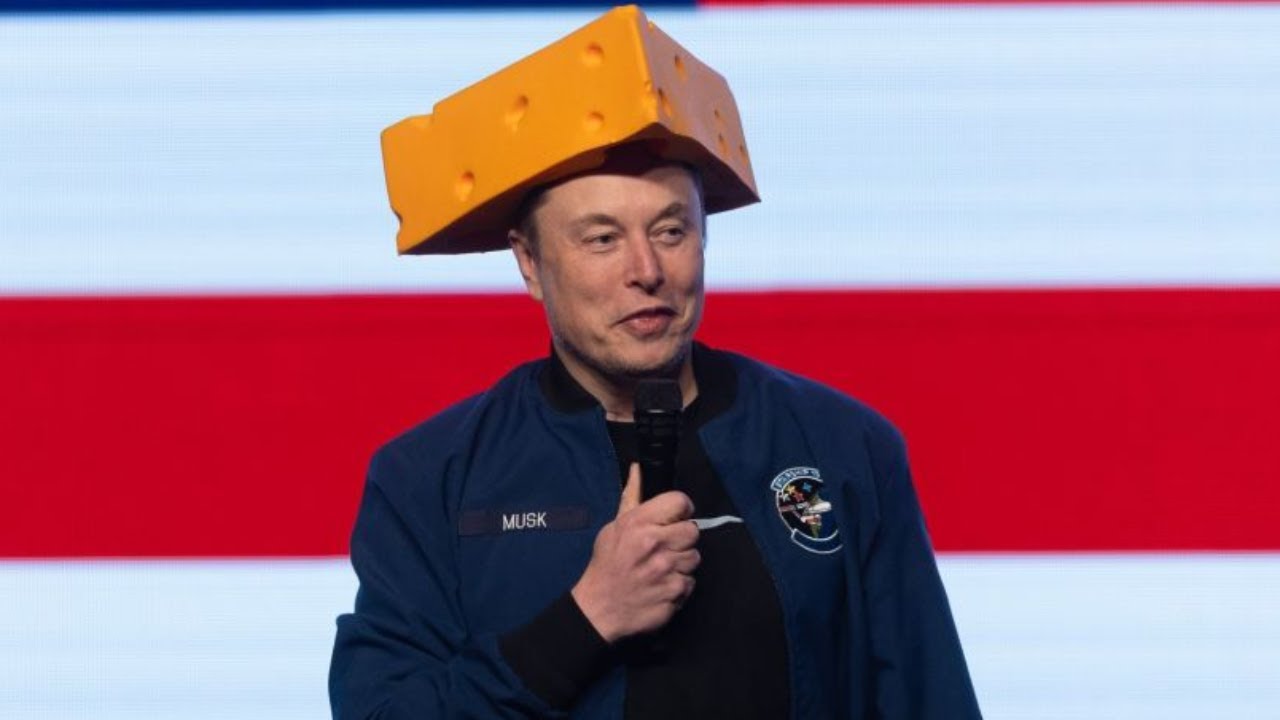 Trump-Musk Tactics Face Ballot Box Blowback | Hotspots Magazine